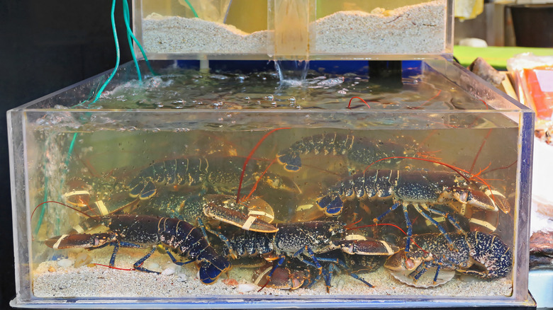11 signs you're in a bad seafood restaurant