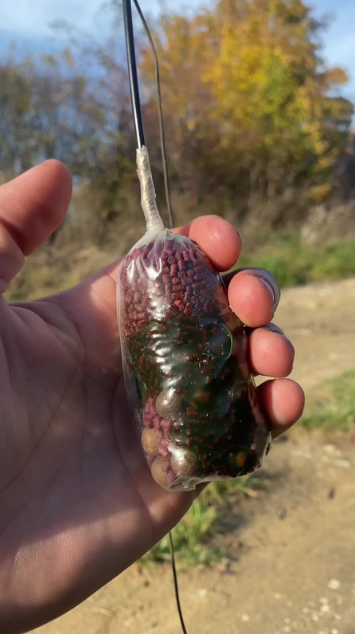 This carp rig setup is getting attention fast