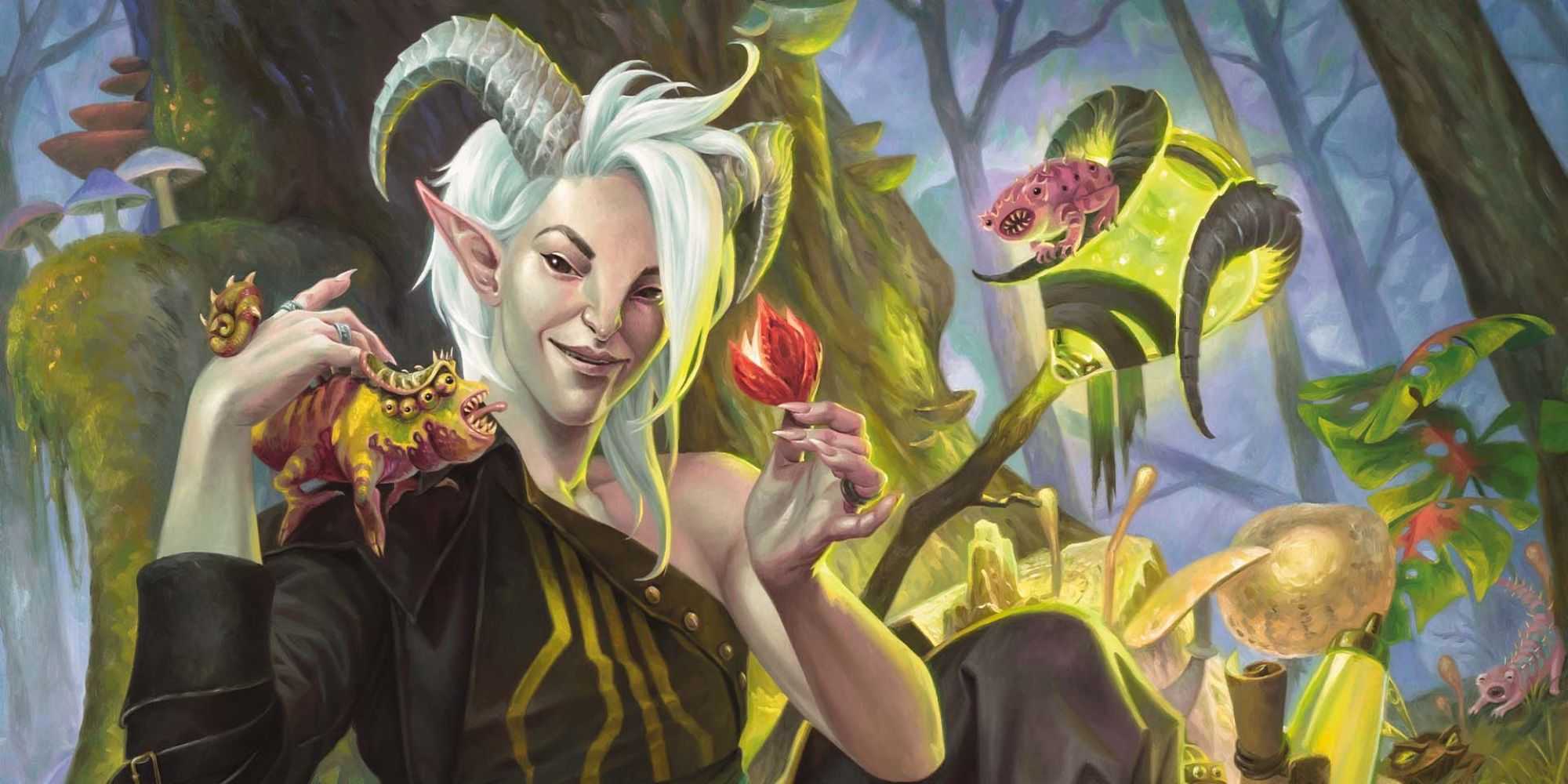 Hasbro's new 10/10 fantasy hit is the perfect Lord of the Rings replacement