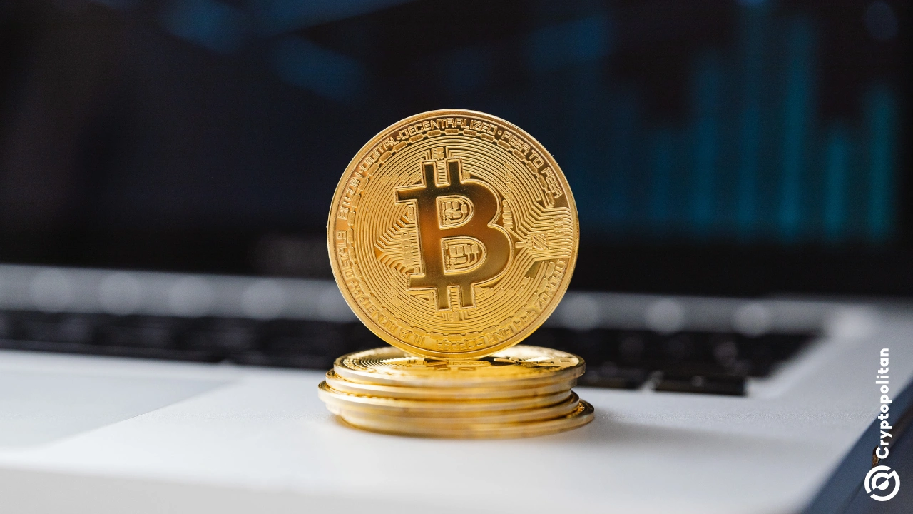 Bitcoin holdings shift from retail traders to long-term holders in 2026