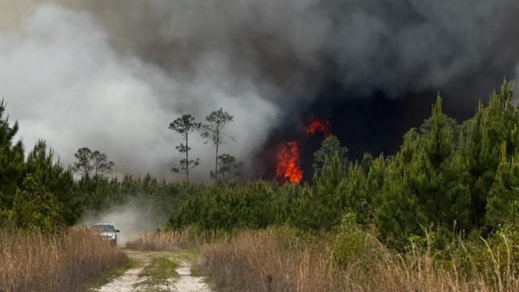 Live updates | Fire crews report progress on containing Brantley County ...