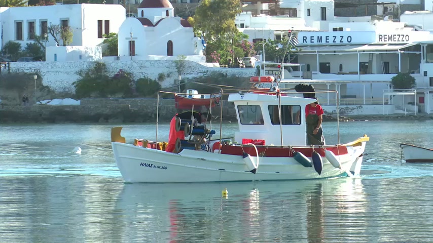 WWF Hellas atualiza FishGuide para promover consumo sustentável de ...