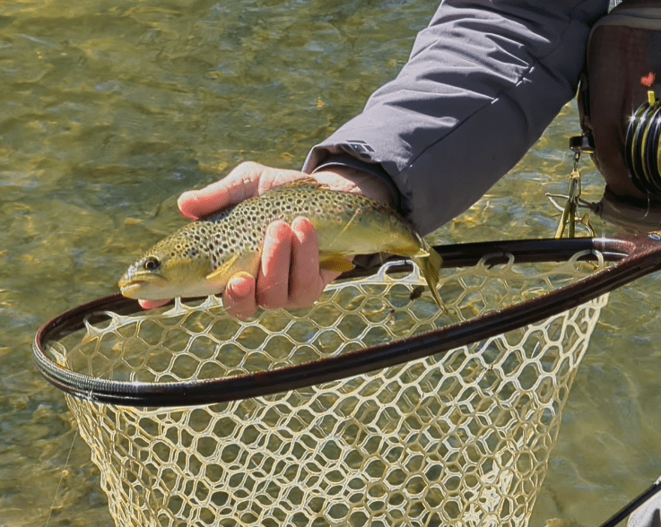 Outdoors Bound road trip to some of the best trout fishing in America