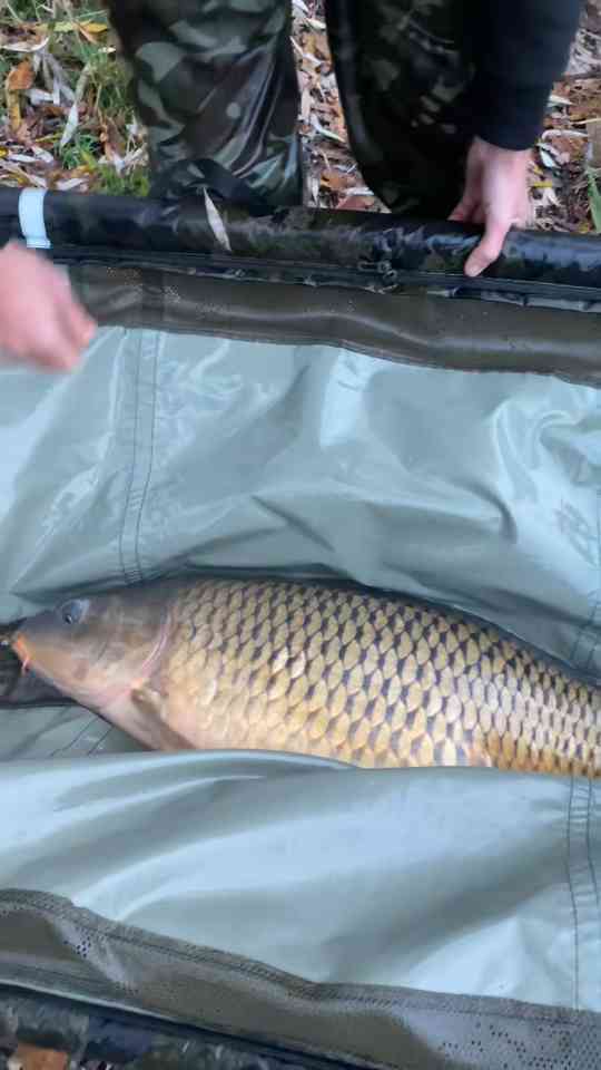 This fishing moment is catching everyone’s attention