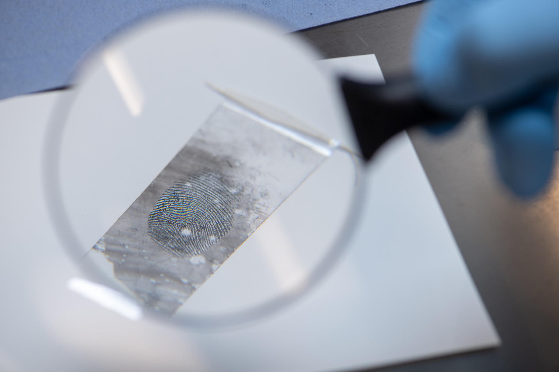 Surprising facts about fingerprints and why we even have them