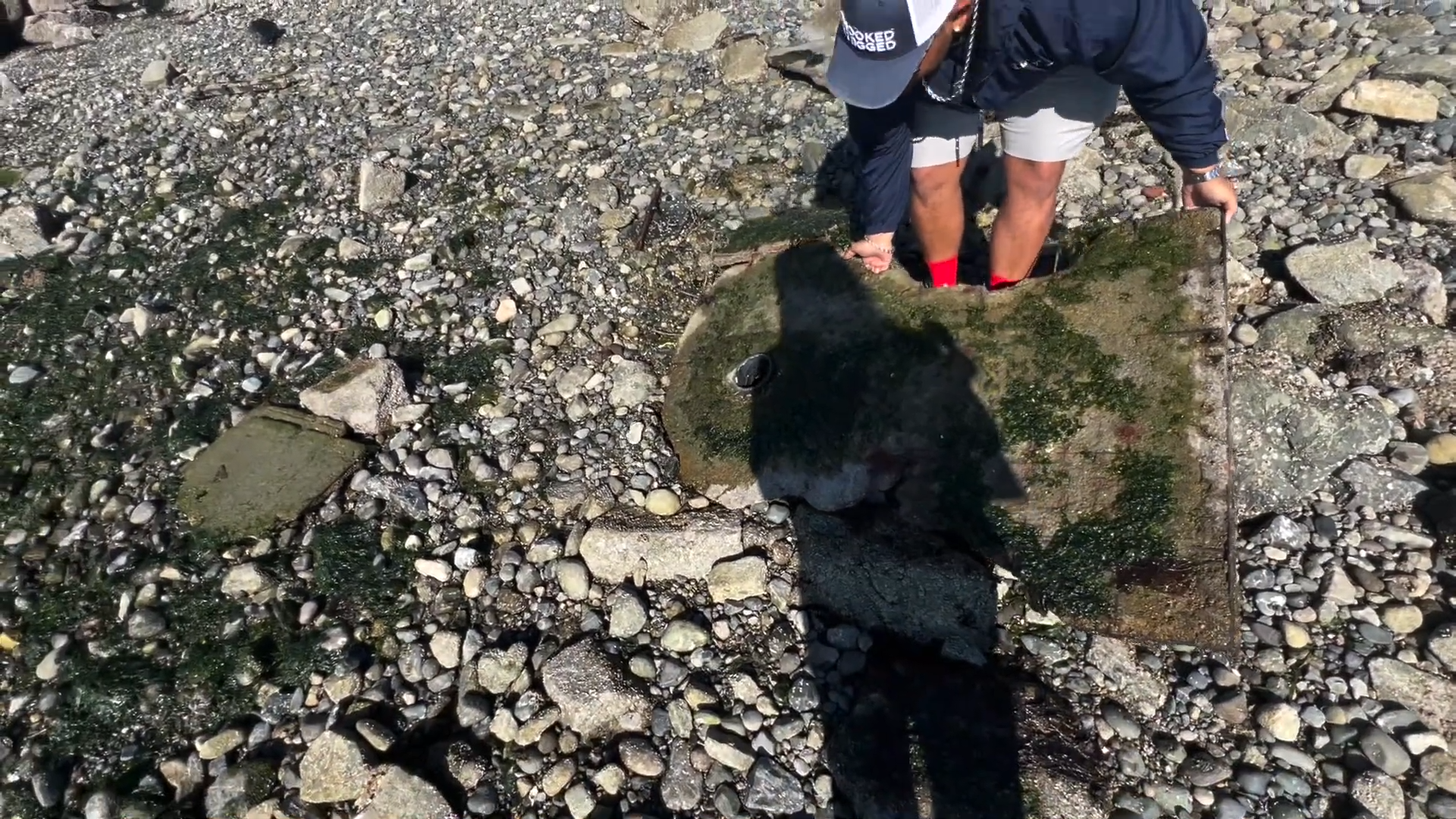 Watch what happens when they lift the rock… and everything tries to escape