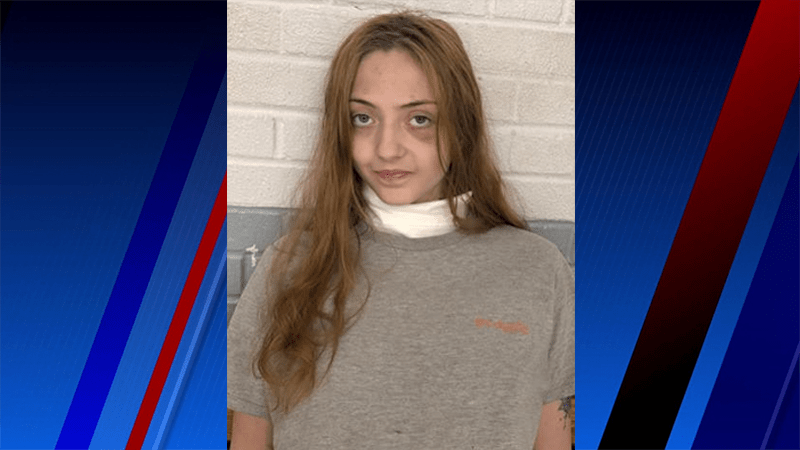 Woman accused of 'premeditated' killing of father in Davidson County ...