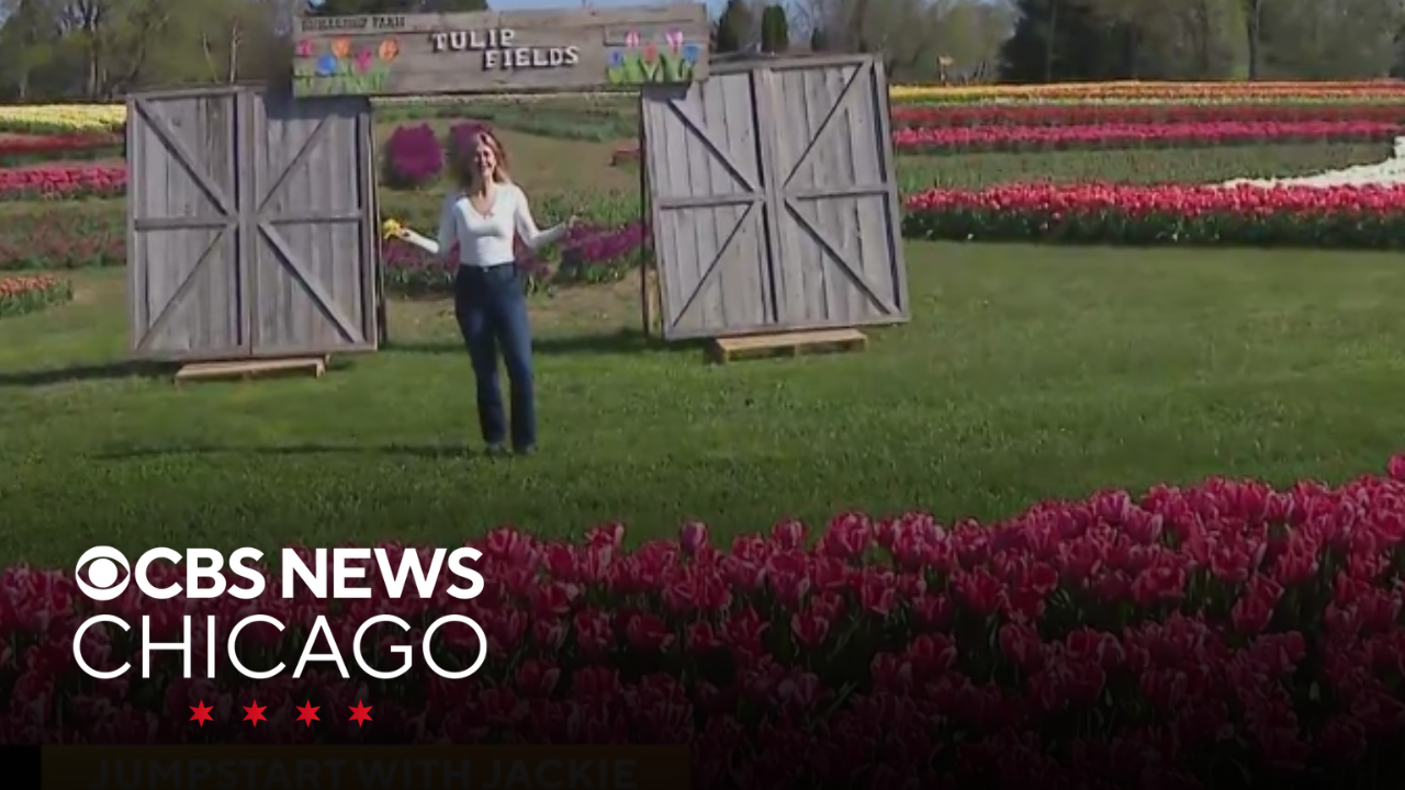 The Richardson Farm Tulip Festival is in full bloom