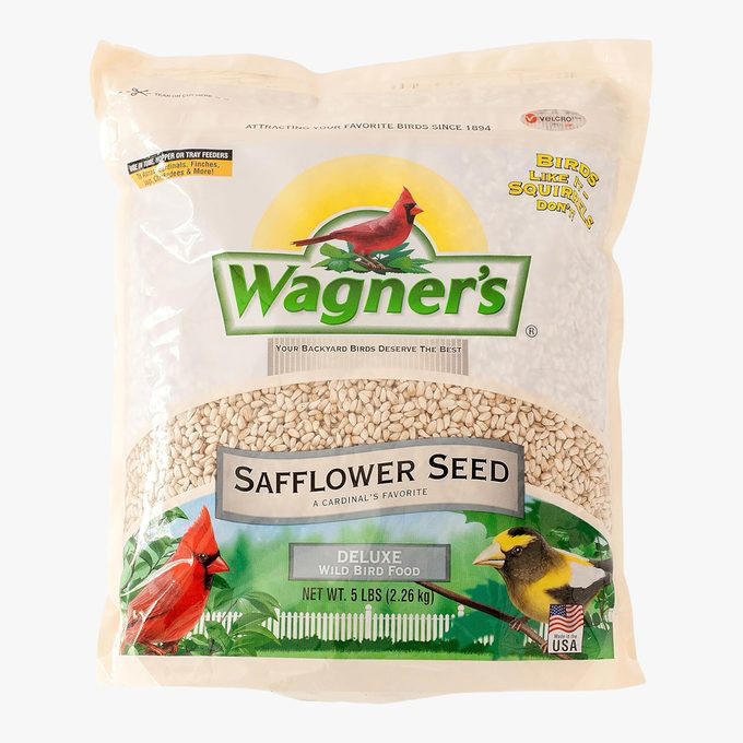 The best cardinal bird feeders and birdseed