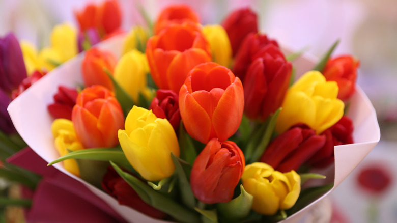 15 flowers perfect for a cut flower garden