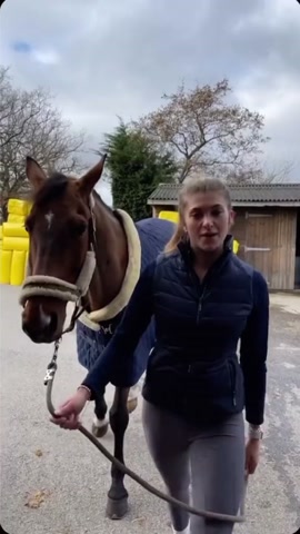 Stable life moments when I am too busy for your calls