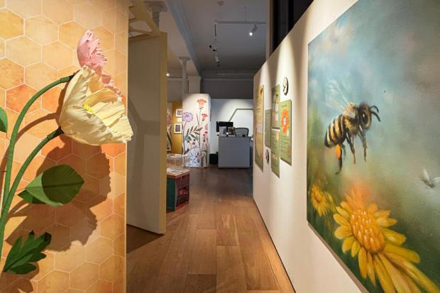 New museum exhibition offers immersive journey into the world of bees