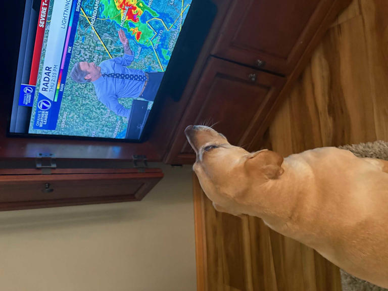 Photos: KETV viewers capture storm as it blows through parts of ...