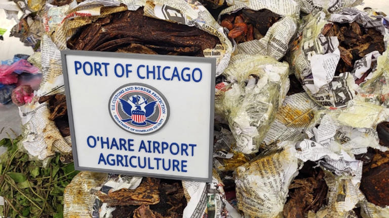 Customs officers seize monkey carcass, 125 pounds of prohibited meat at ...