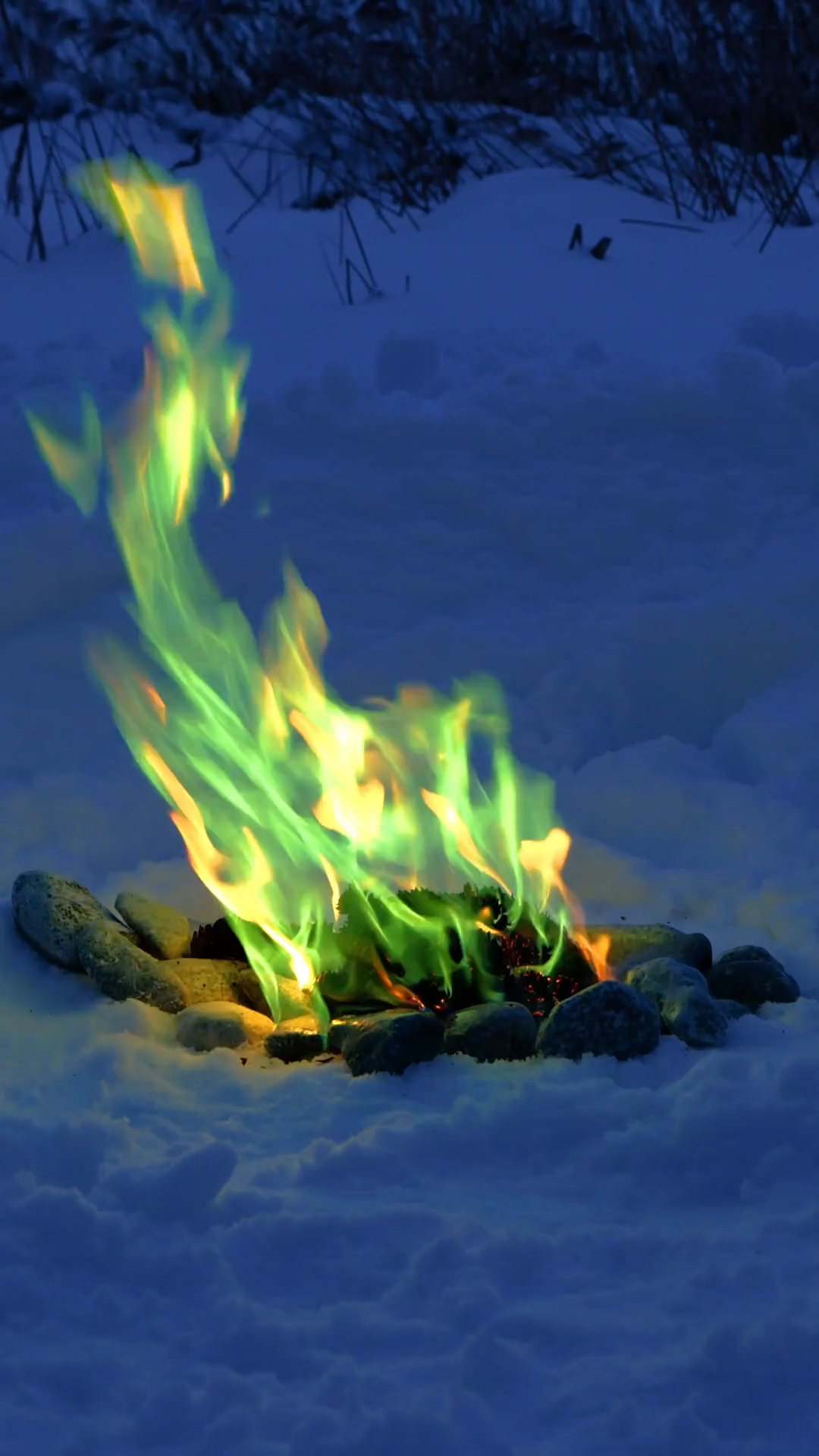 Innovative strategies for thriving in a winter wilderness