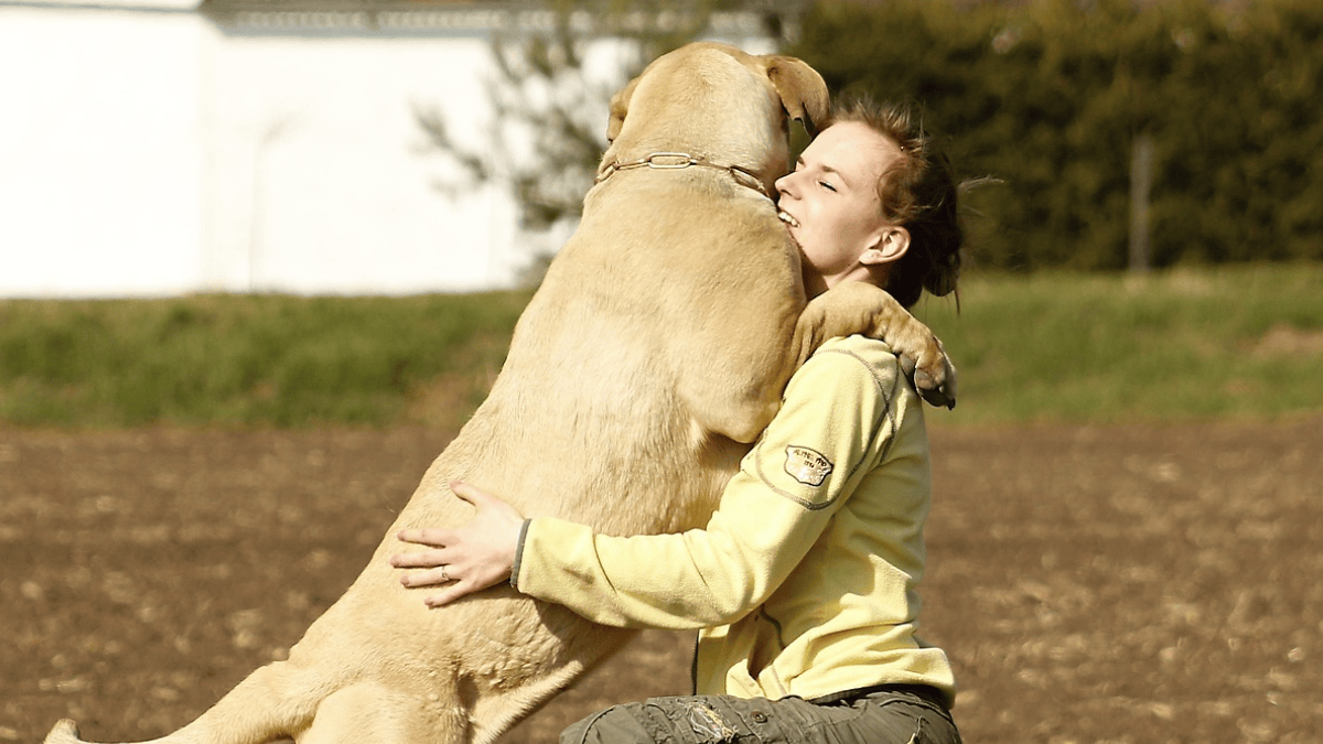 9 signs that are perfect proof that you are your dog's favorite person