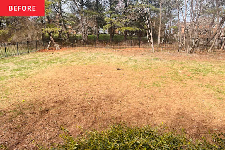 Our backyard was a muddy mess, now it's a green and serene sanctuary