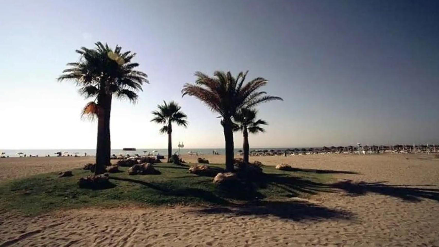 La playa de Los Álamos en Torremolinos reabre al baño tras confirmarse ...