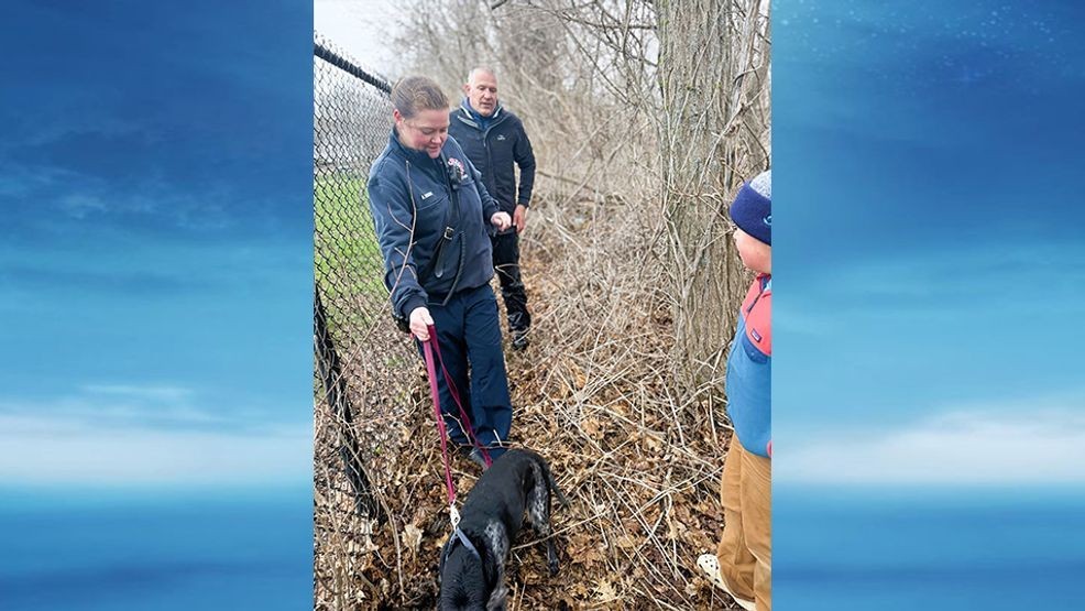 Firefighter wades into chest-deep water to save dog stuck in Bath marsh
