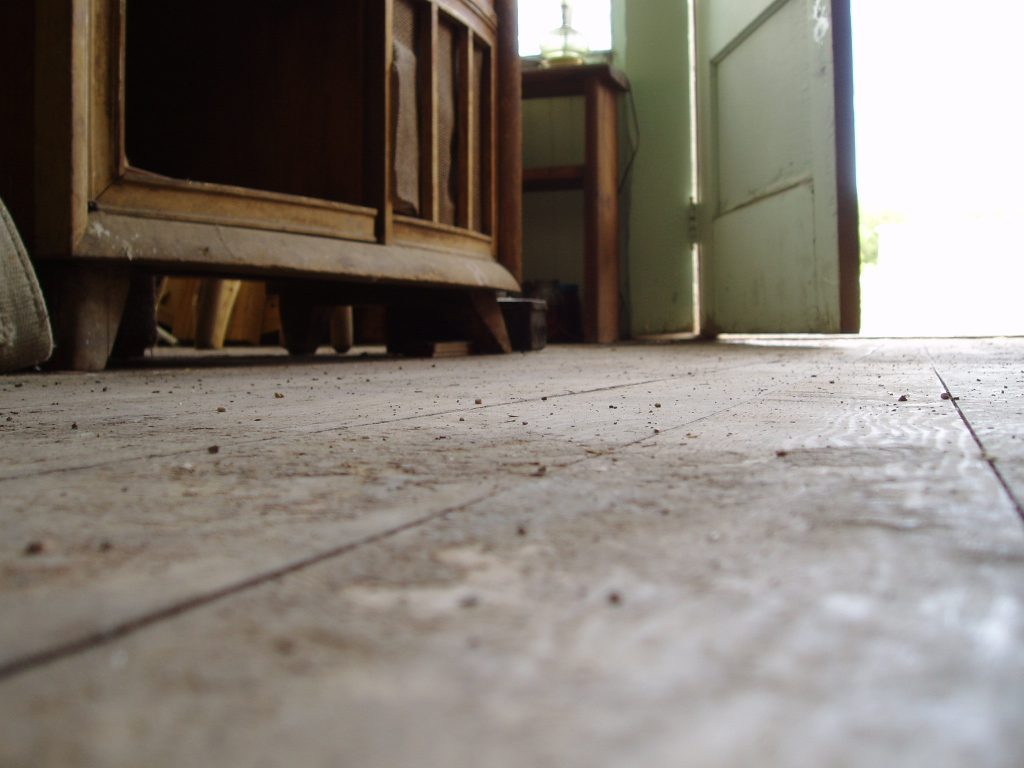 Home items that scream "I didn’t clean"