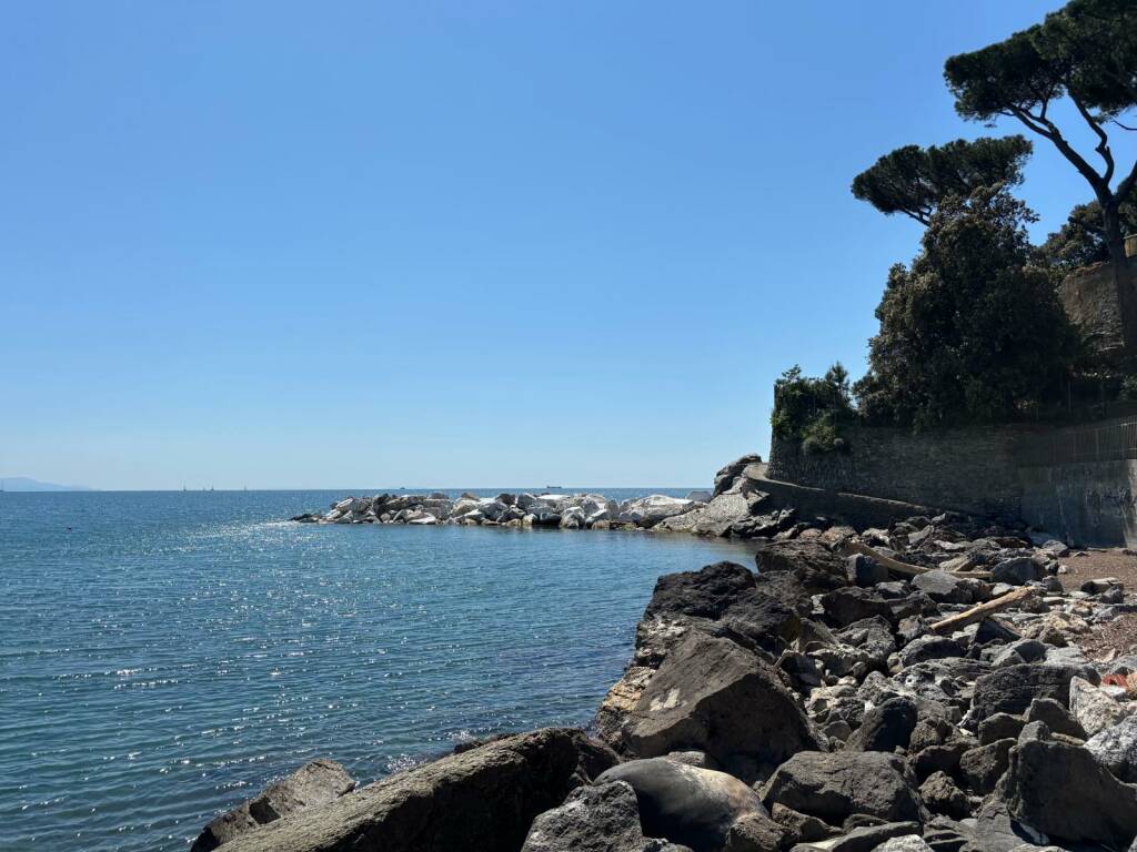 Bocca di Magra, concluso intervento di difesa costiera e ...