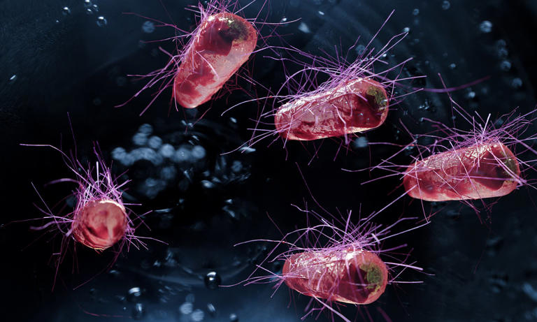 Food poisoning hospitalisations rise by nearly 90 per cent in five ...