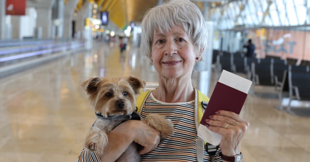 Animal de compagnie : si vous voyagez avec un chien, un chat ou un ...