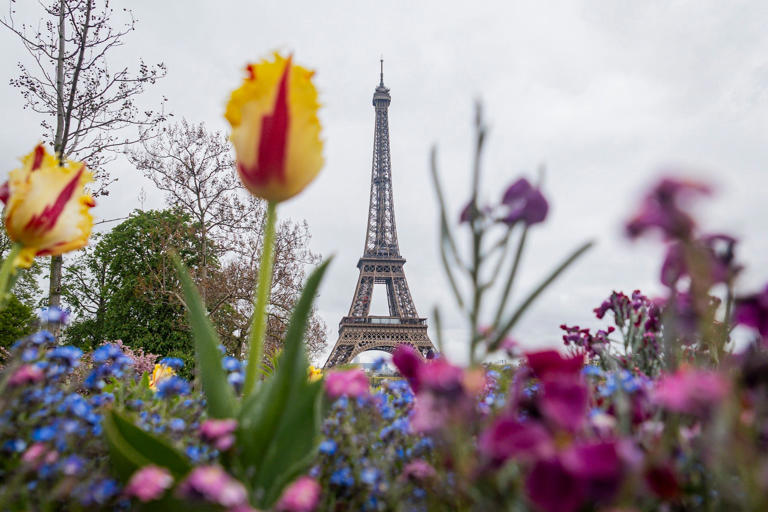 $119 Polymarket bet on Paris' weather turns into $21K after unusual ...