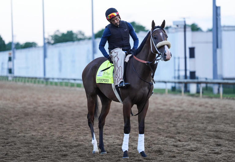 Who are the owners for Kentucky Derby 2026 horses at Churchill Downs?
