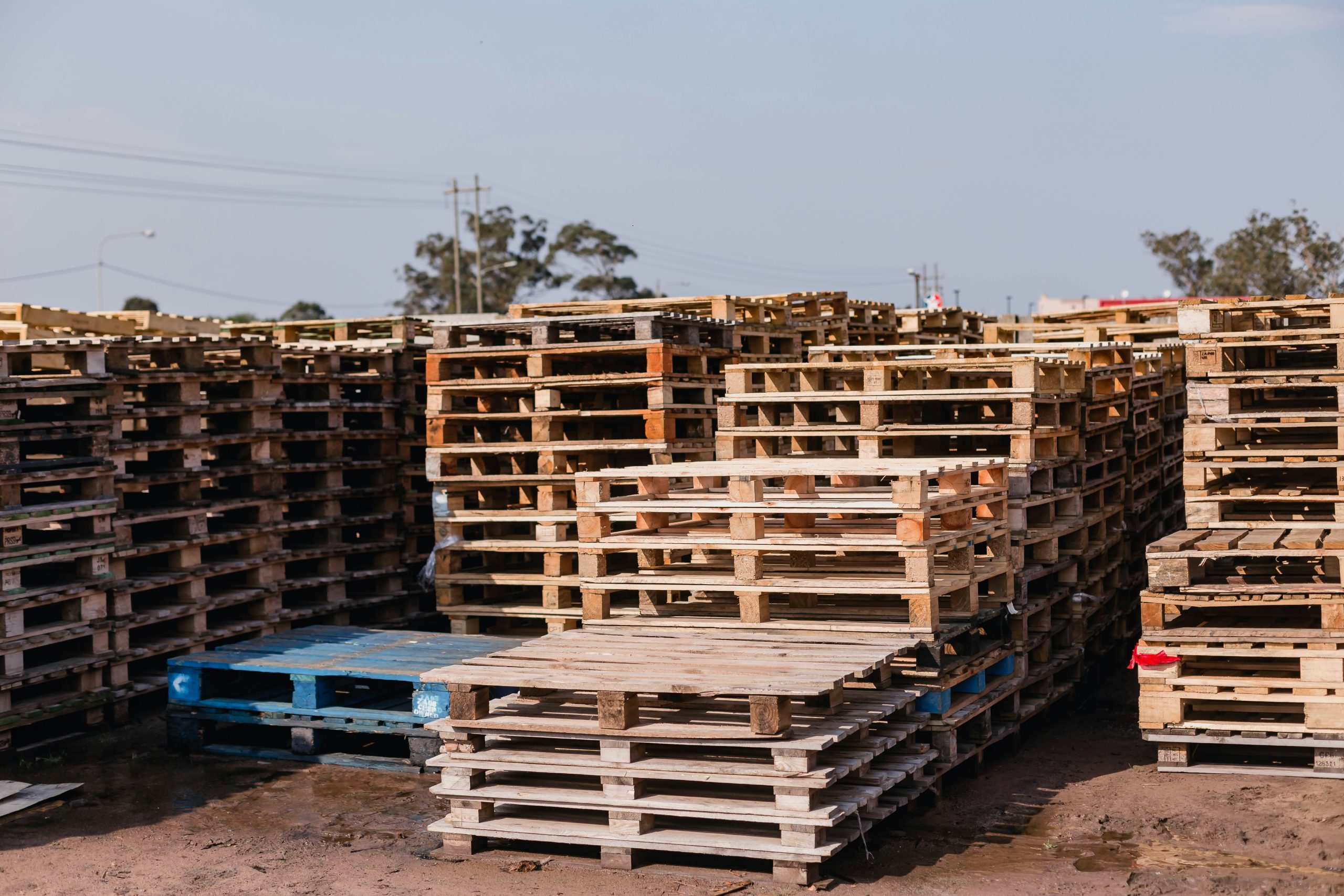 16 hacks to find cheap reclaimed wood for tiny builds