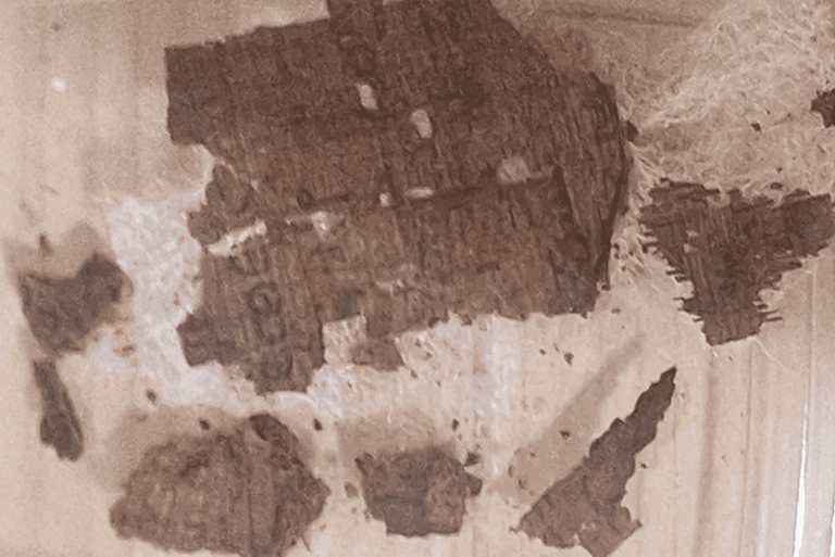 Archaeologists found a copy of the Iliad stuffed inside an ancient ...