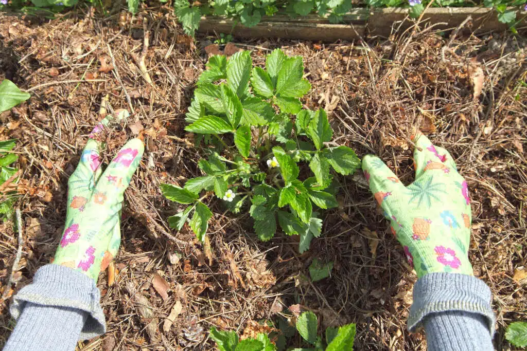 9 easy weed-killing hacks that save you hours in the yard