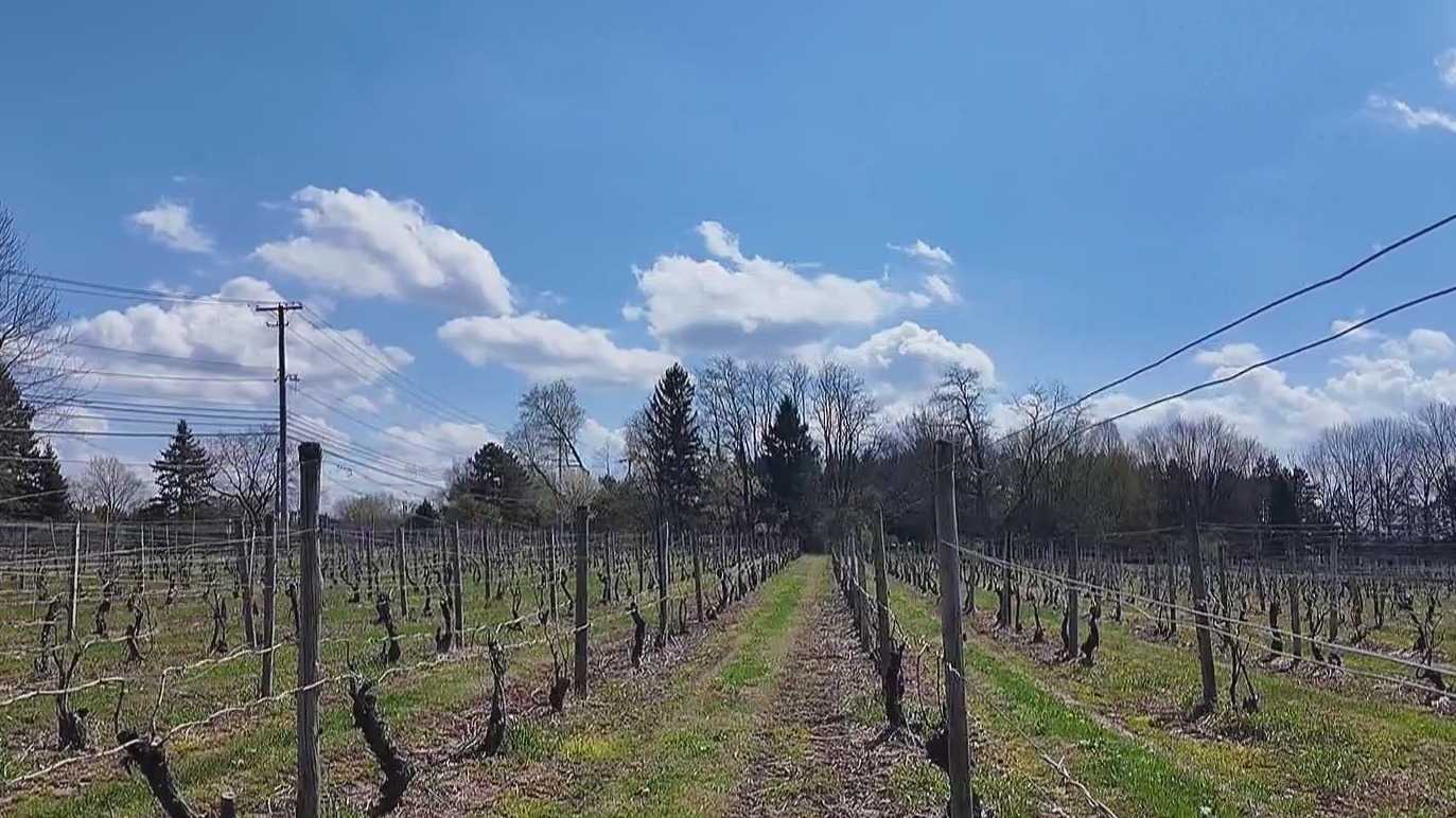 Temperatures affecting Finger Lakes winegrowers