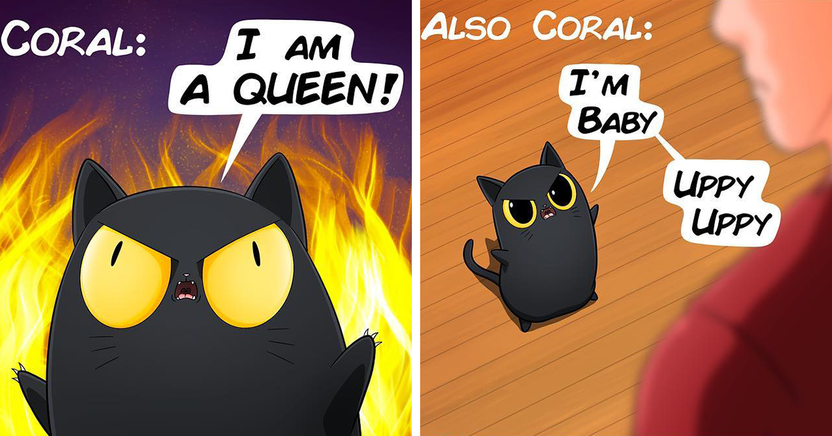 29 funny comics illustrating the quirks of living with a cat
