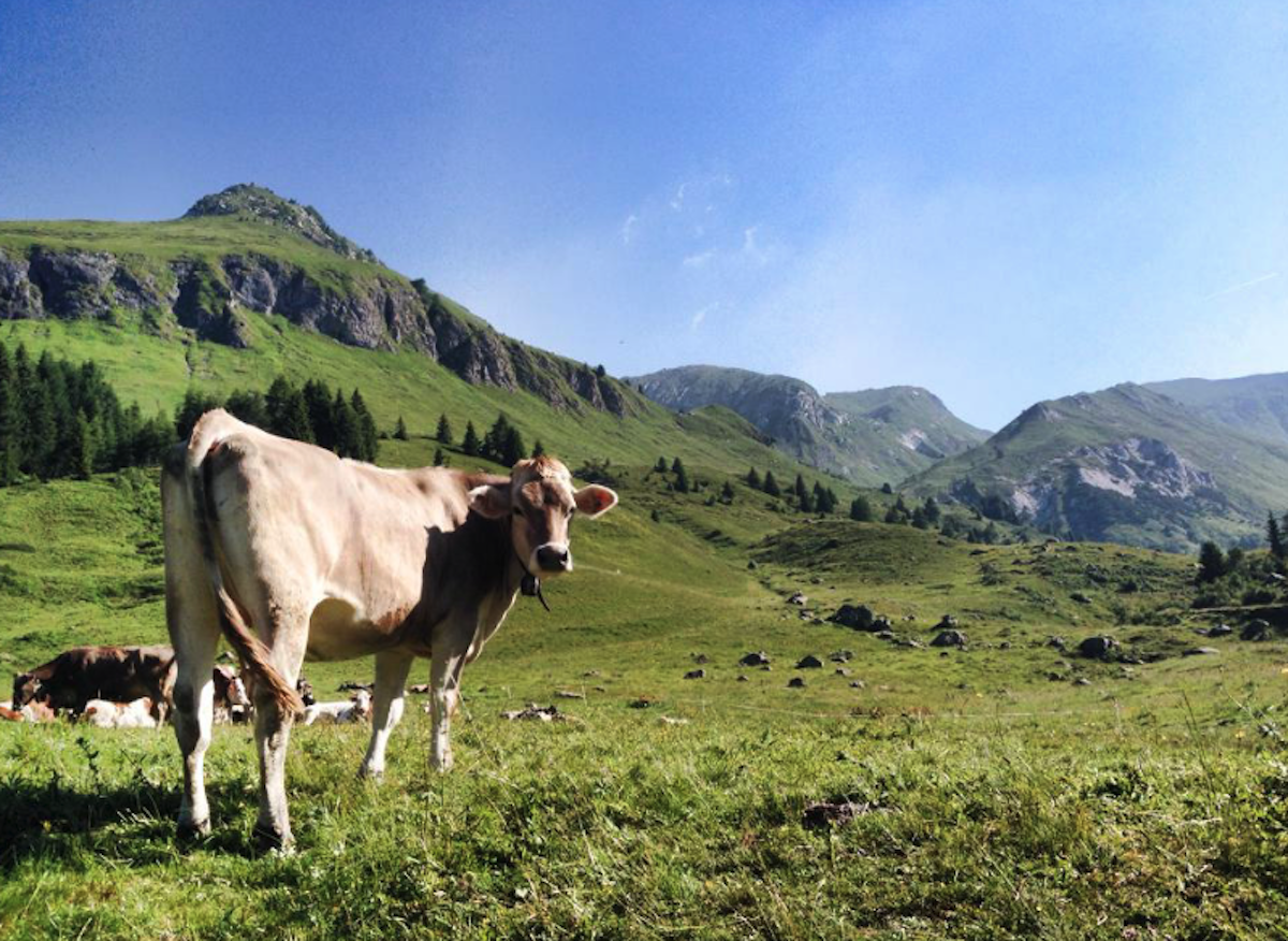 Laghi, marmotte e la distesa verde che sembra il Far West: una ...