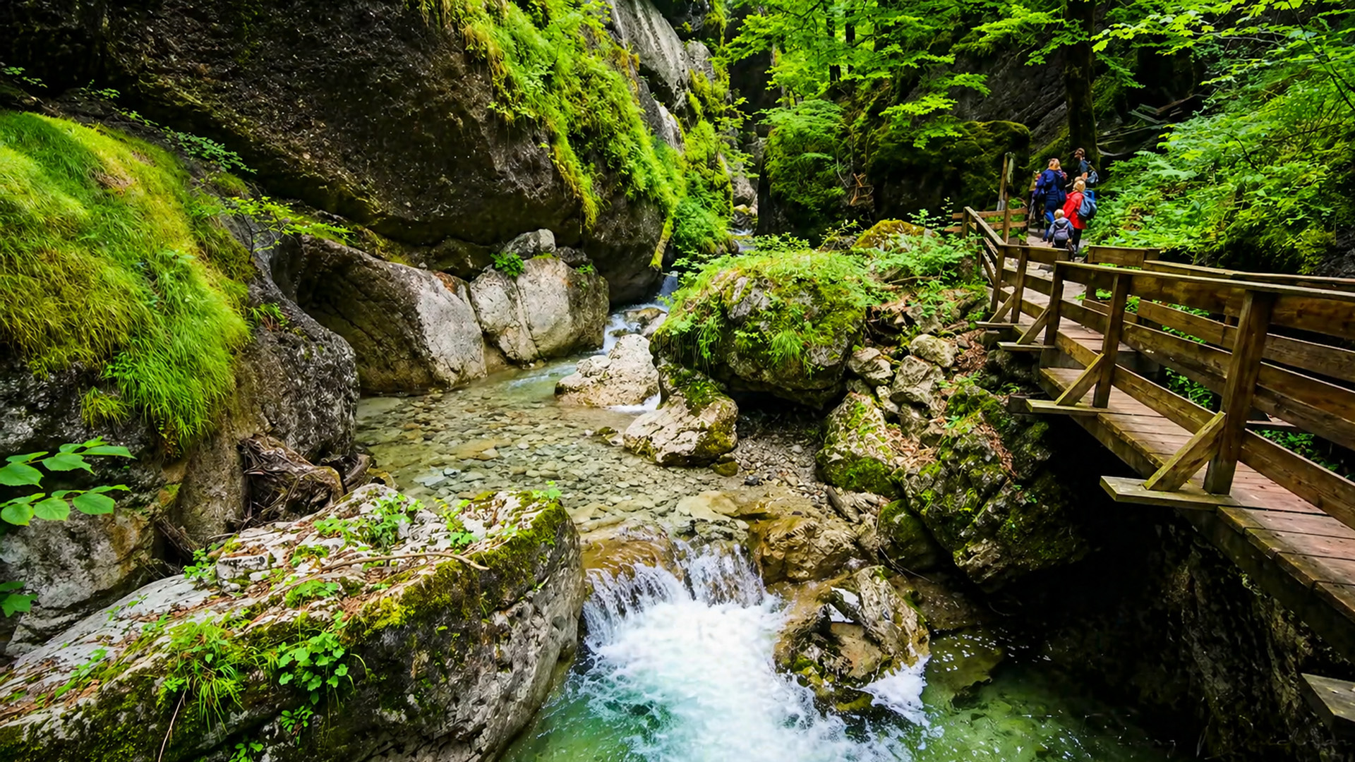 Seisenbergklamm reveals Austria’s gorge beauty in Salzburg (4K)