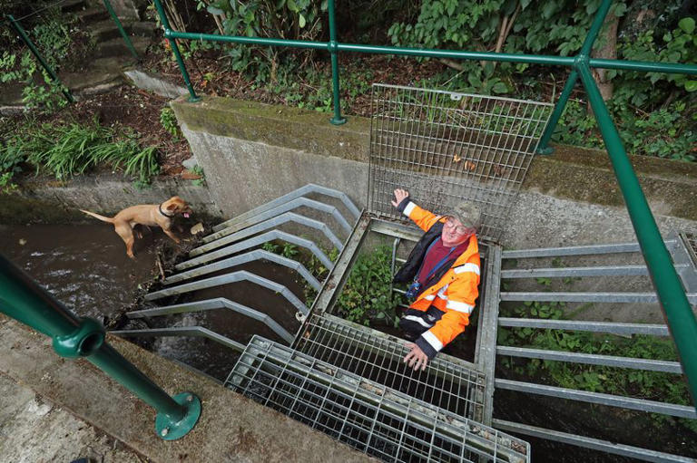 Expert 'quite certain' of public risk at culvert where Noah Donohoe was ...