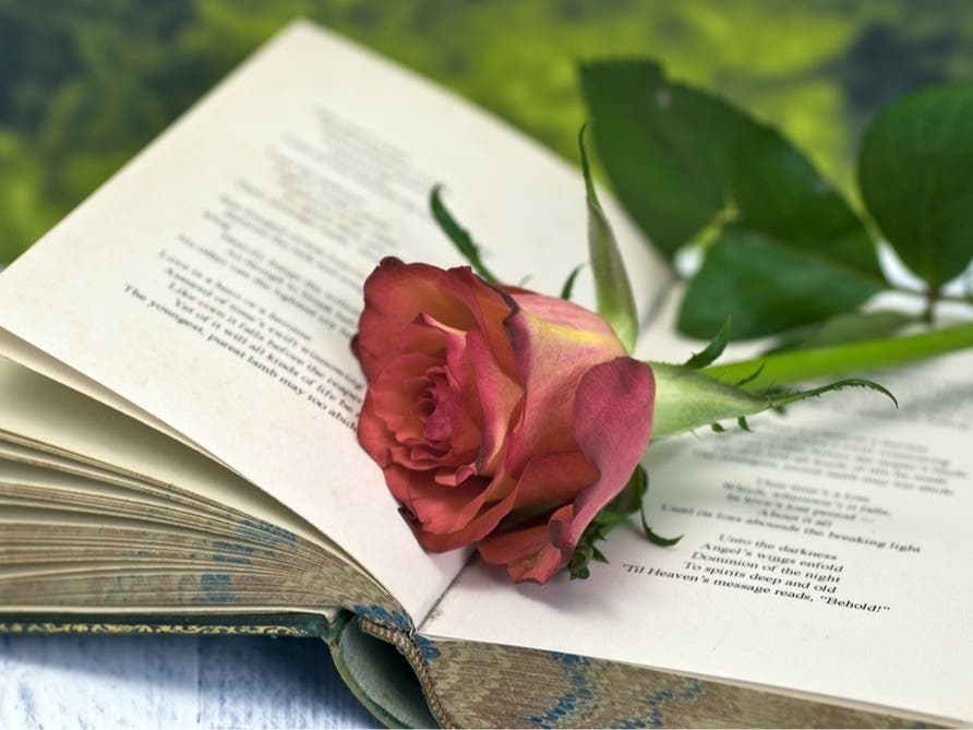 Headliner named for 2026 Poetry by the Sea conference in Madison