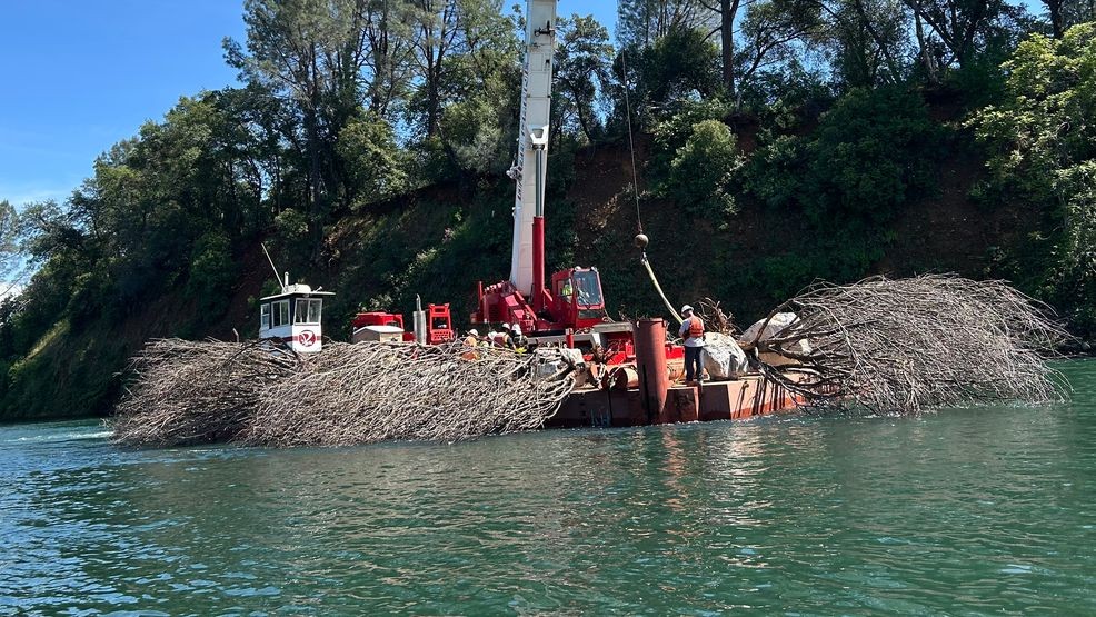 Redding sees novel approach to salmon recovery through installation of ...