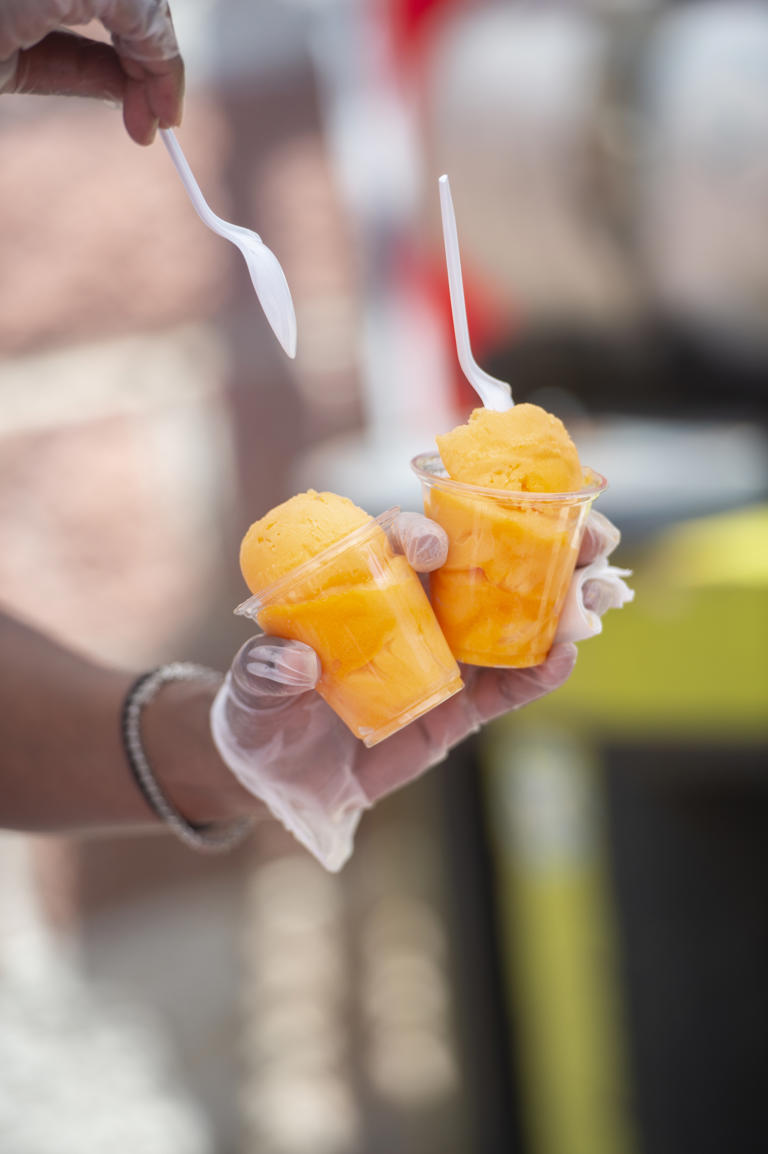 The best water ice and gelati in Philadelphia and the suburbs