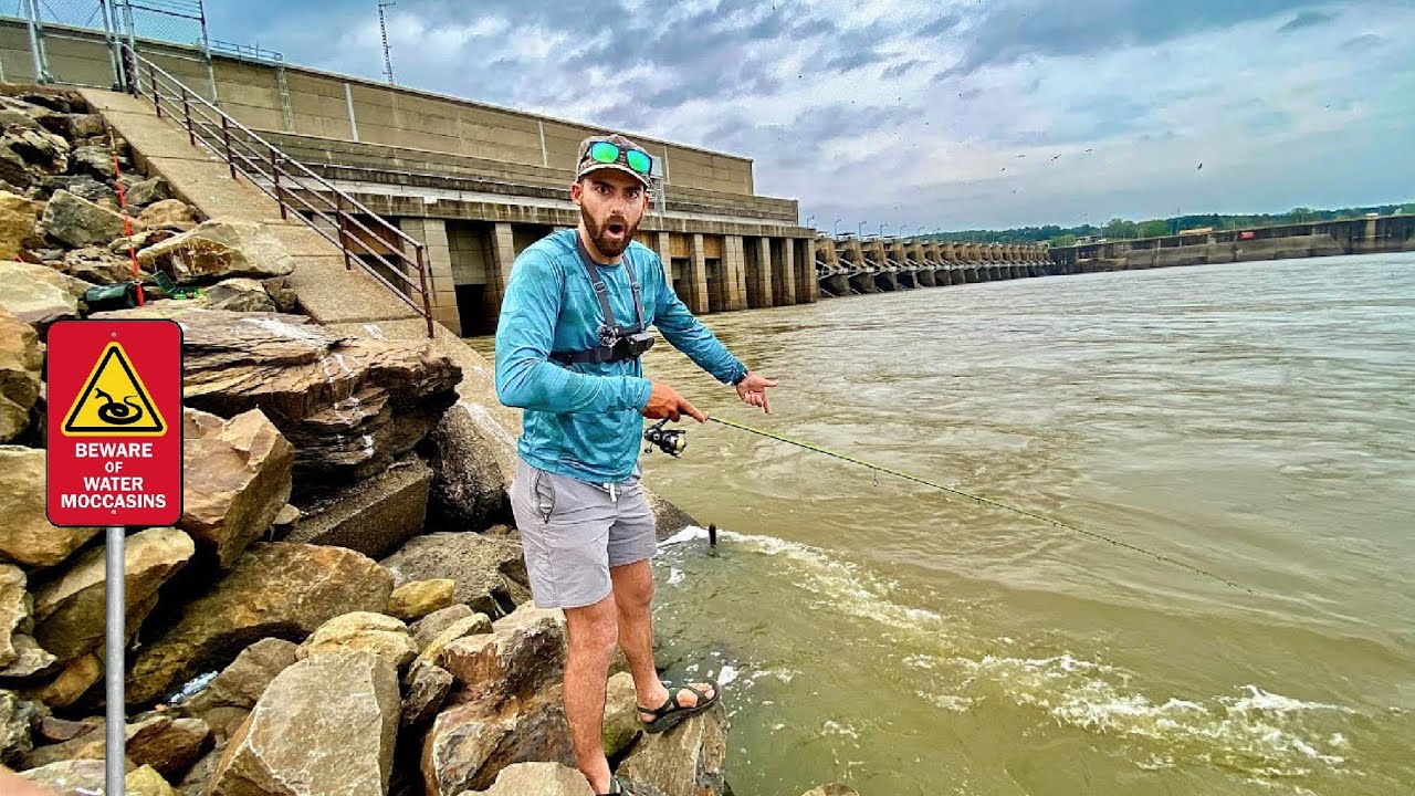 Anglers reel in massive river monster at dangerous spillway