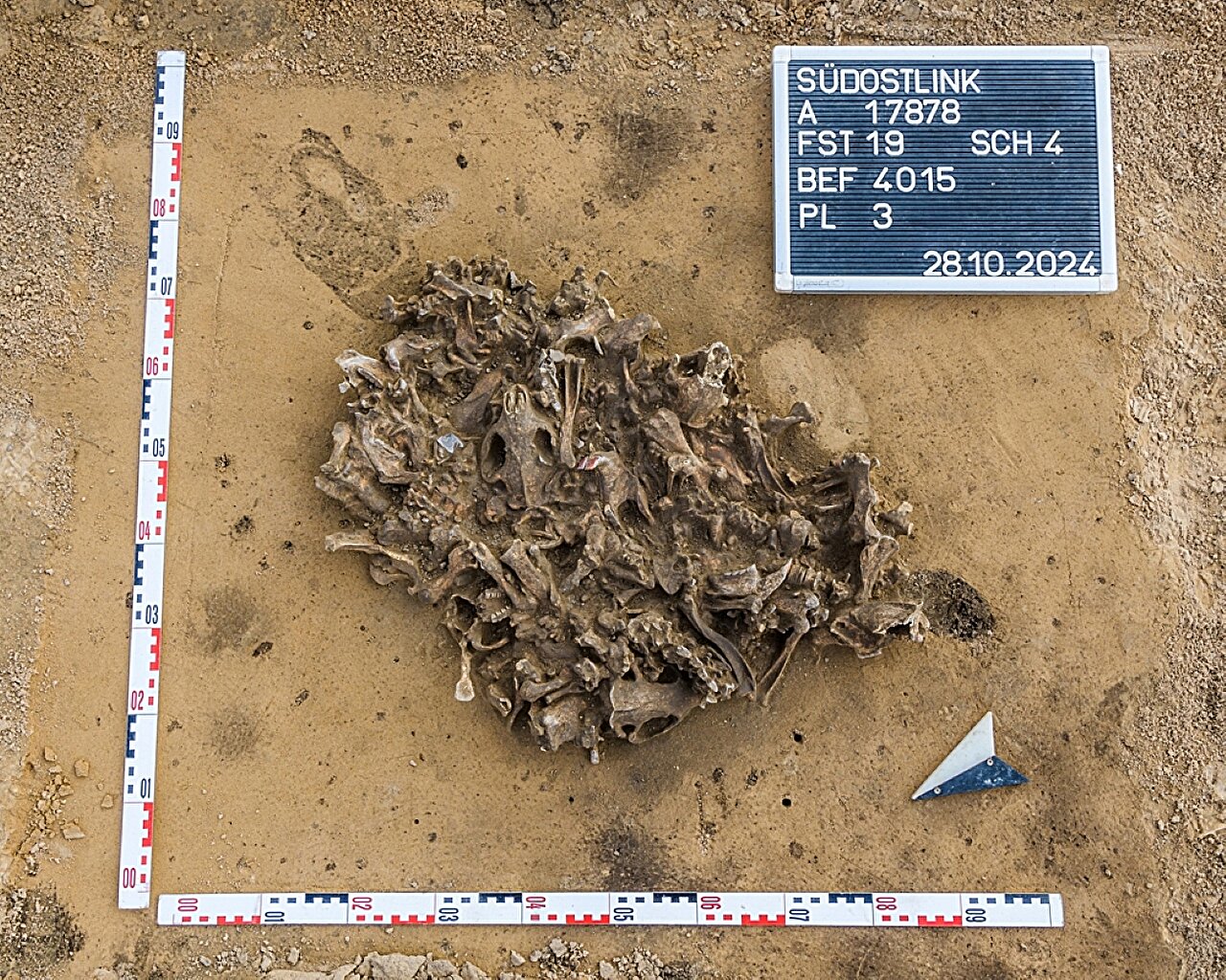 Neolithic fur production: A 7,000-year-old pit with beaver remains ...