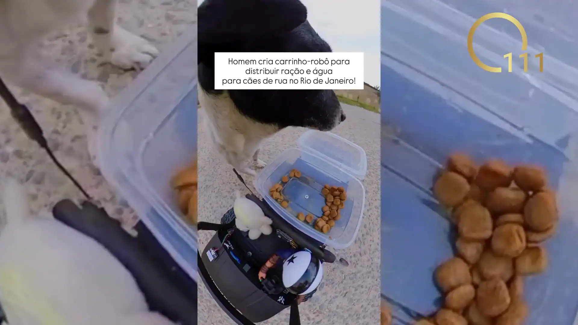 Homem cria carrinho-robô para distribuir ração e água para cães de rua ...