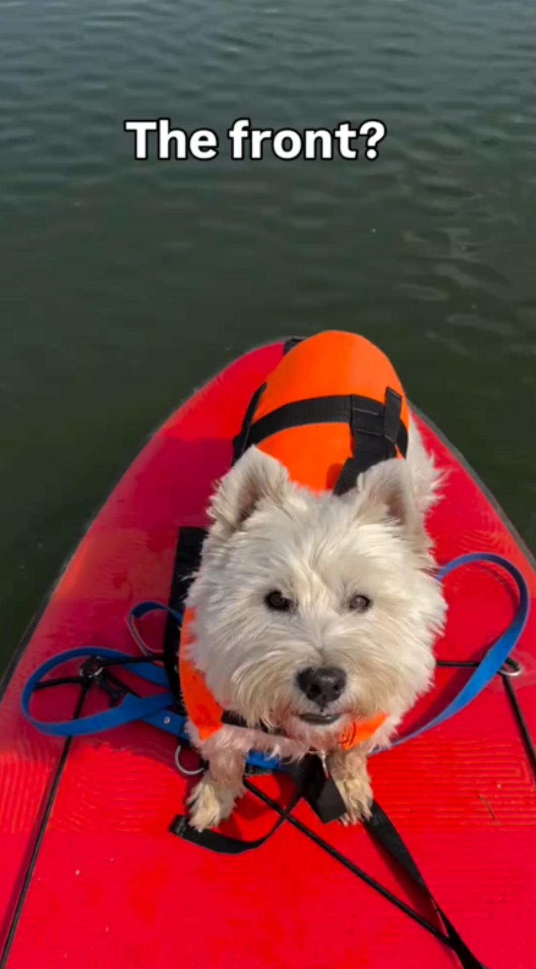 How Forri built impressive muscle power