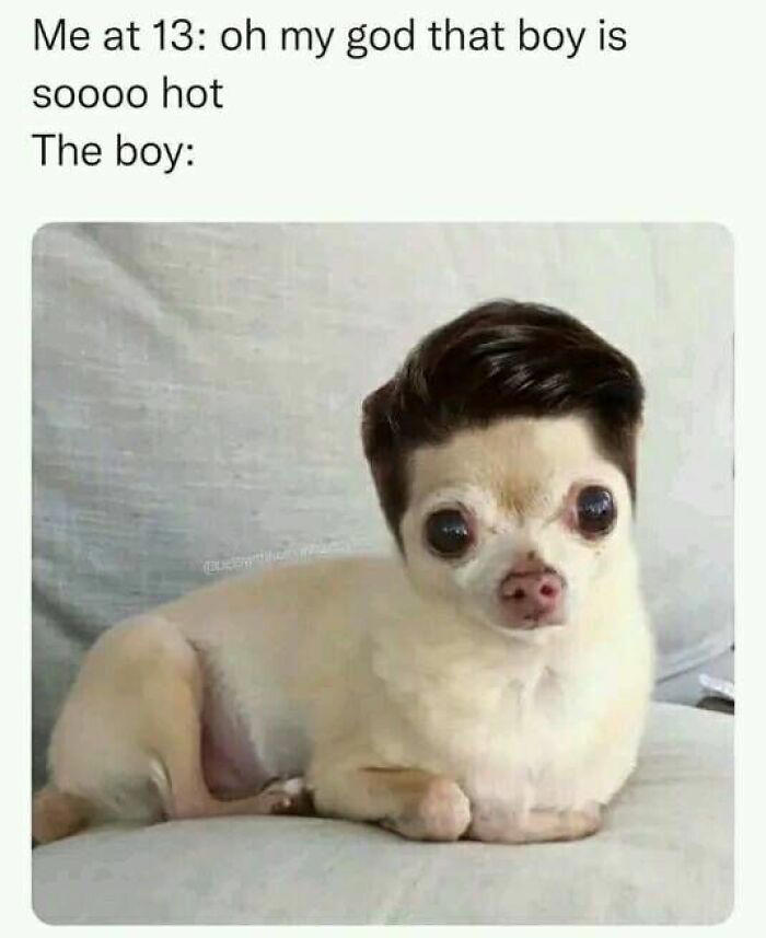 38 hilarious memes that perfectly sum up the struggles of being a woman