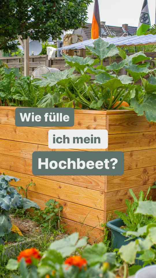 Hochbeet richtig füllen schicht für schicht erklärt