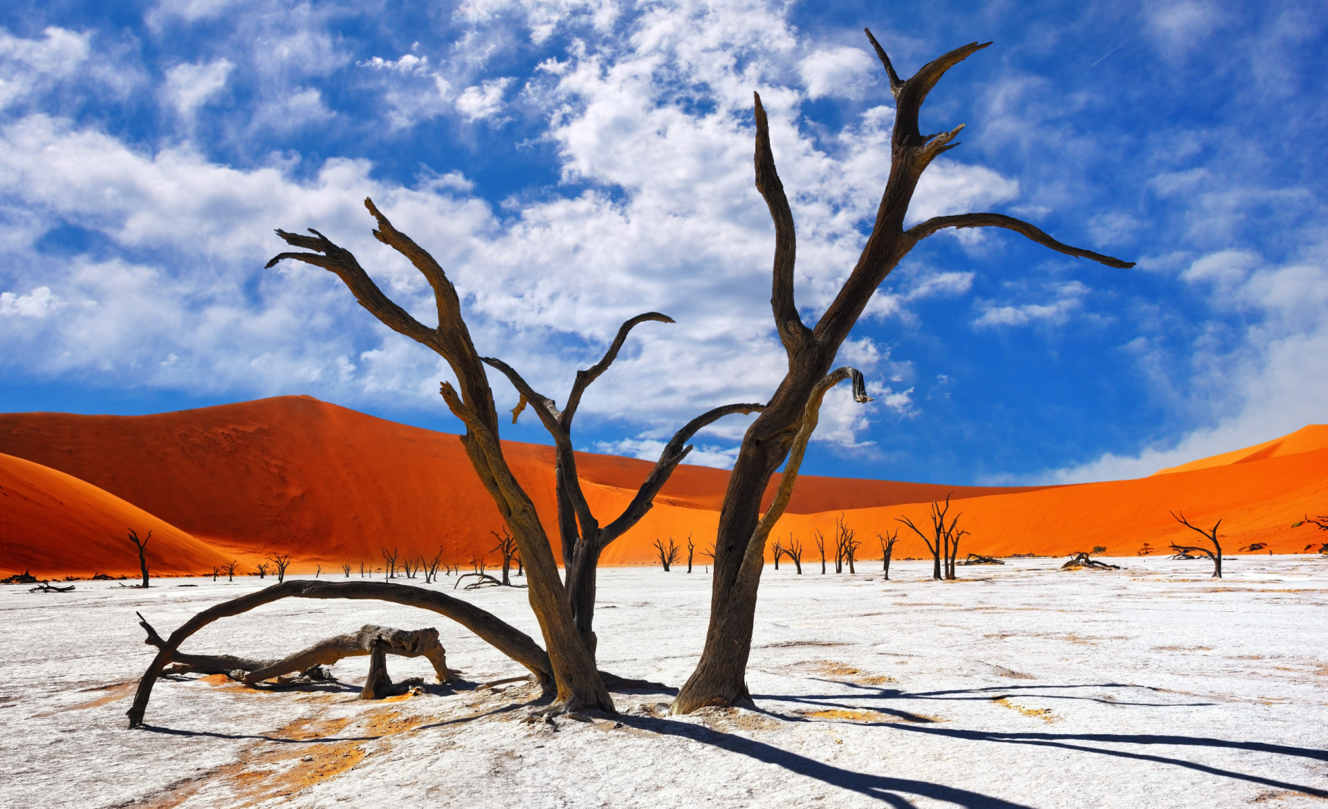 The world's strangest natural wonders