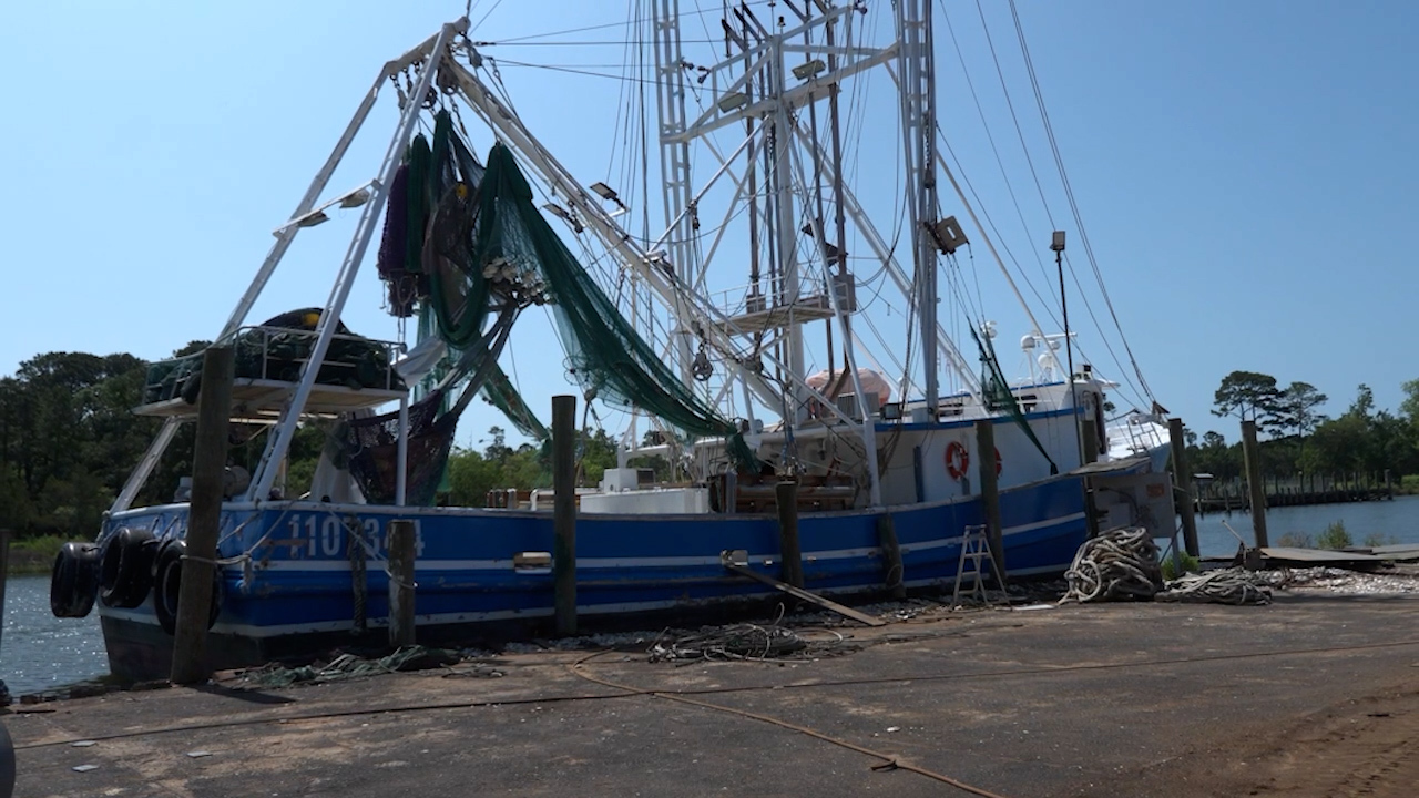 American shrimpers call high fuel prices and tariff refunds a 'double ...