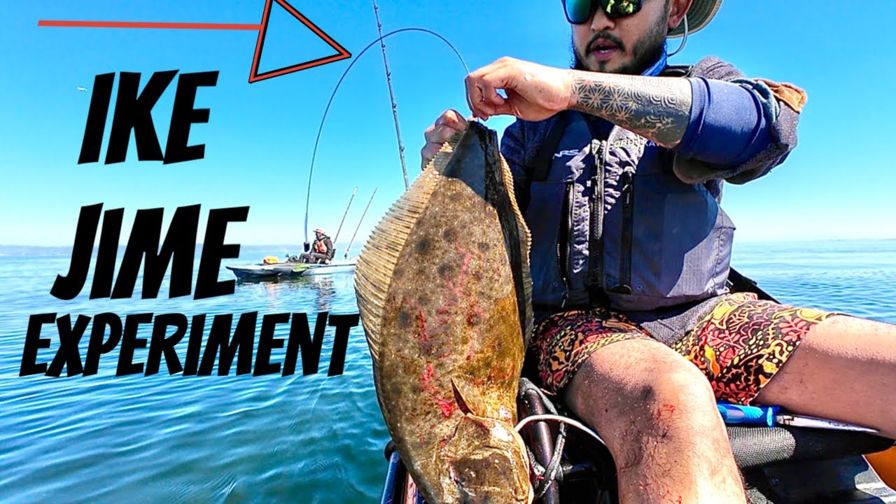 Does wire fish spine really matter?