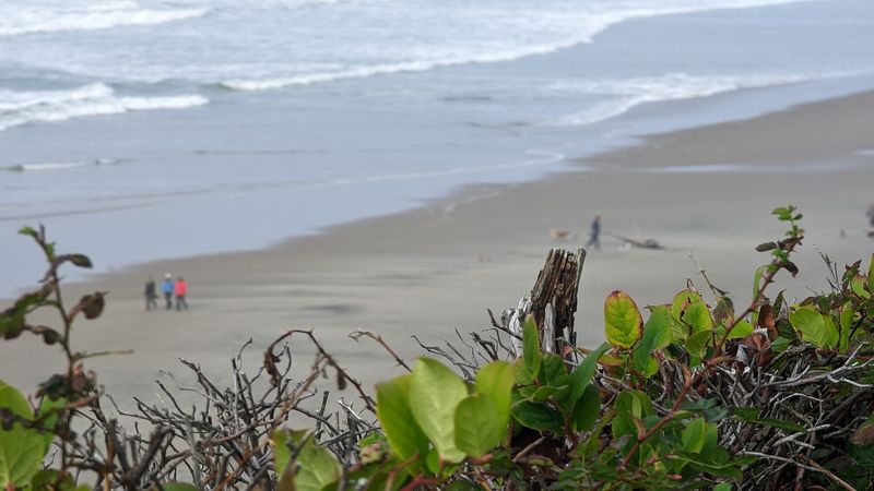 One Oregon beach town is so overrun that locals have a secret code to ...